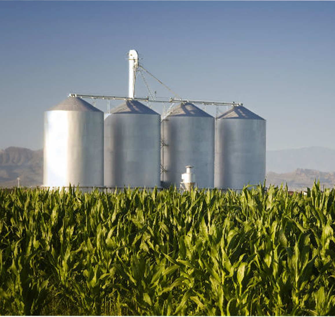 Biodiesel Testing Labs in India, Biodiesel Testing Labs